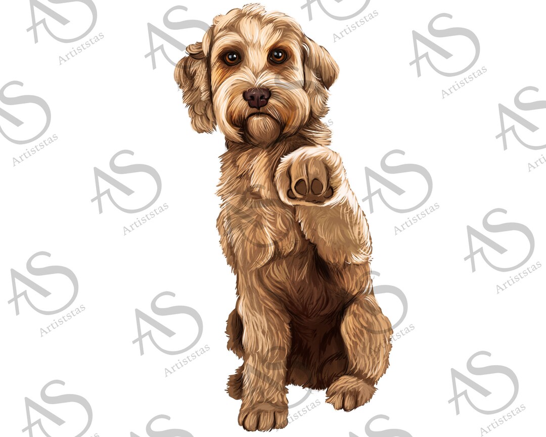 Labradoodle Png Sublimation Design, Labradoodle Png, Labradoodle Png ...
