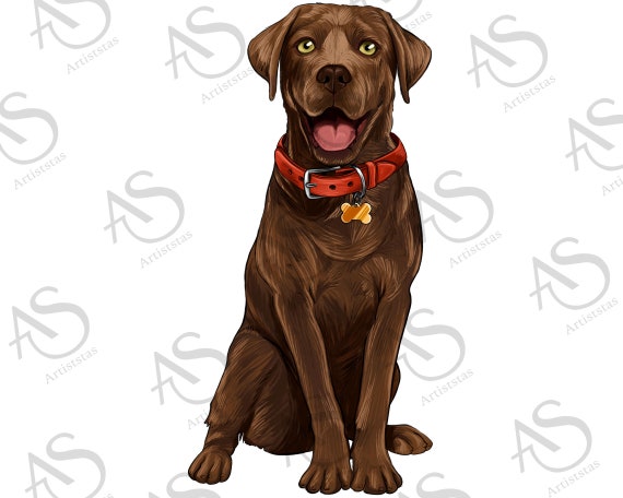 Chocolate Lab Labrador Retriever Png Labrador Retriever Png - Etsy