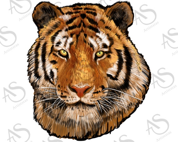 Tiger Png Sublimation Design Hand Drawn Tiger Face Png Tiger - Etsy