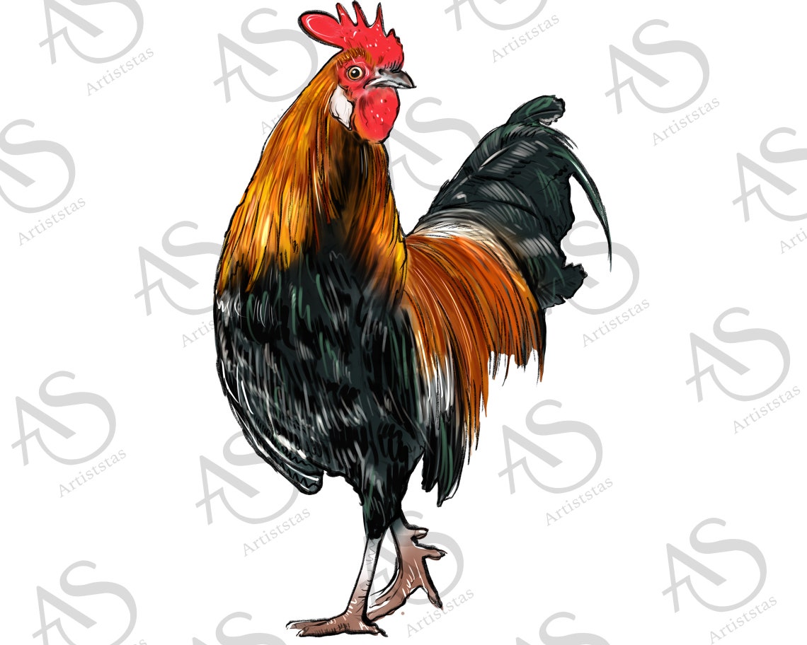 Rooster Png Sublimation Designwestern Rooster Png Rooster | Etsy
