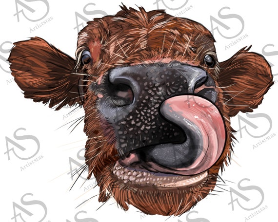 Irish Dexter Heifer Png Sublimation Design Hand Drawn Heifer - Etsy