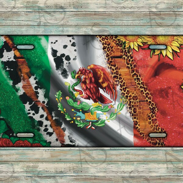 Mexico License Plate Png - Etsy