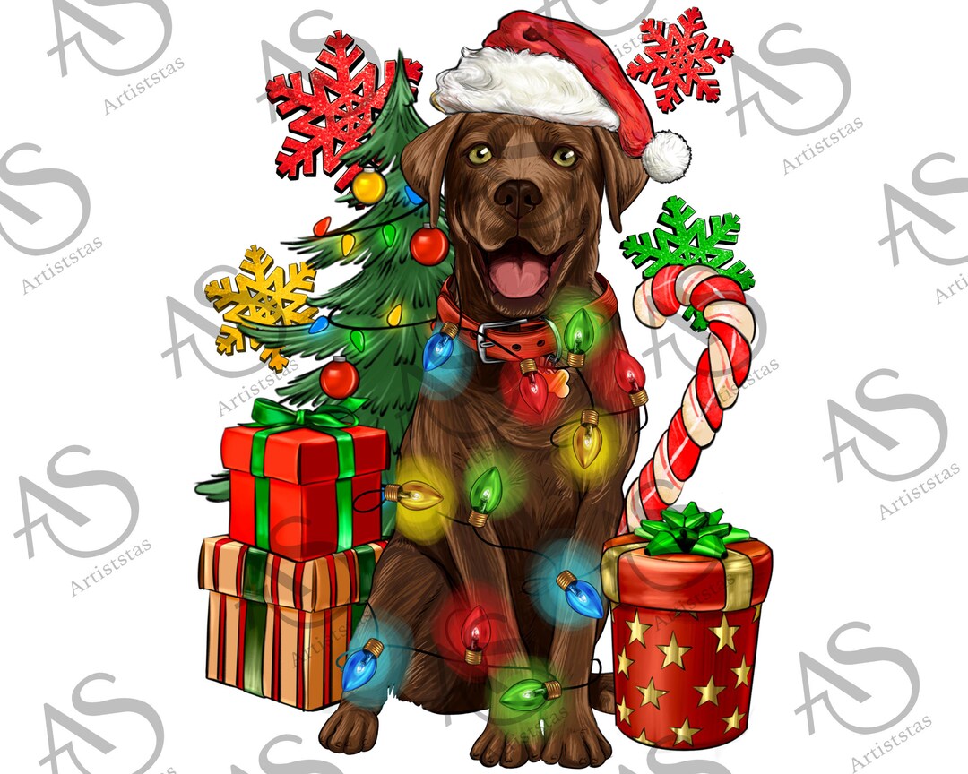 Christmas Chocolate Lab Labrador Retriever Png Sublimation Design ...