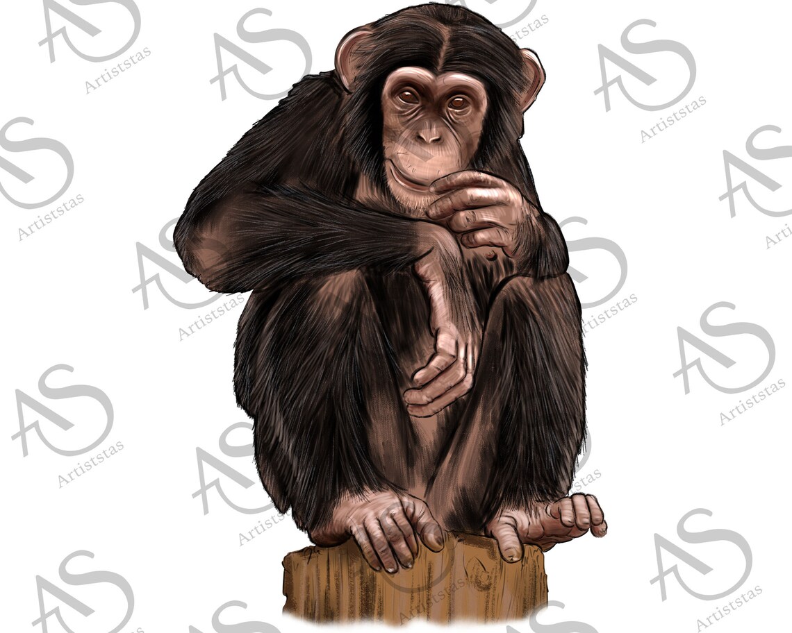 Hand Drawn Monkey Png Sublimation Design Monkey Png Monkey - Etsy