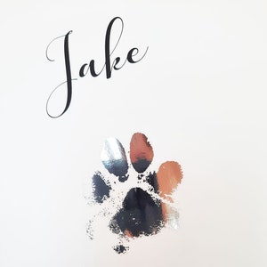 Pet Paw Print - Real Foil - Personalised - Your Pets Print - Gift ...