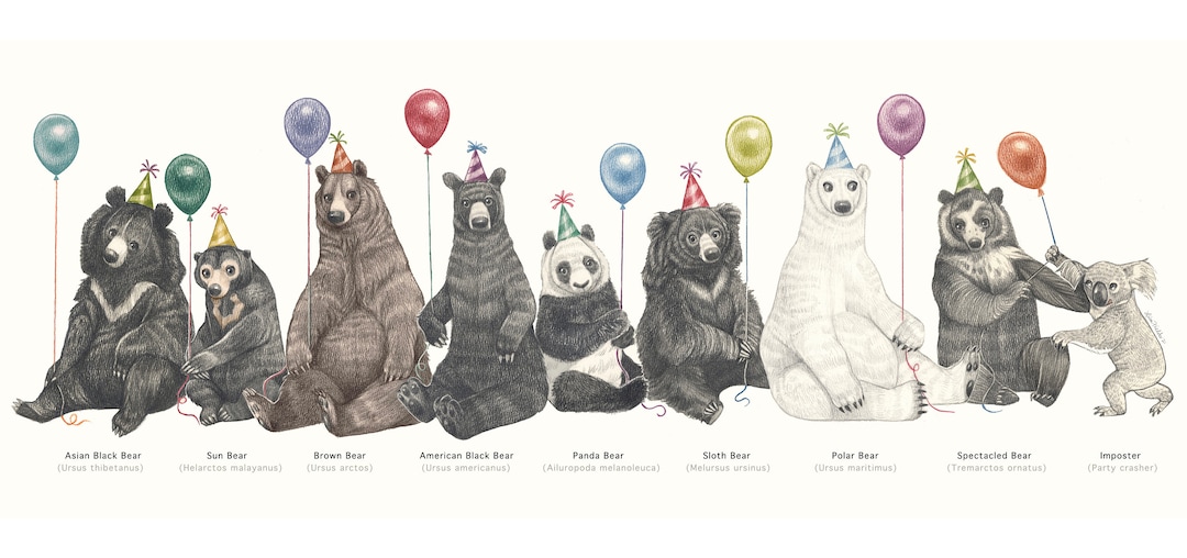 PRINT - Party Bear Species Chart - Etsy