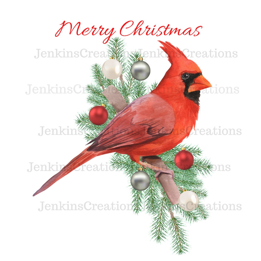 Digital Red Christmas Cardinal 5x5 PNG Printable W/printable Product ...
