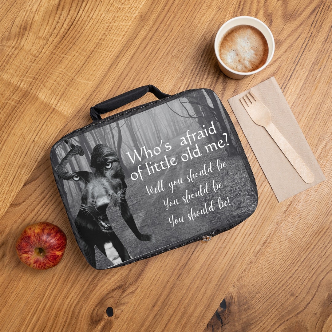 Taylor Swift Lunch Bag Who's Afraid of Little Old Me - Etsy