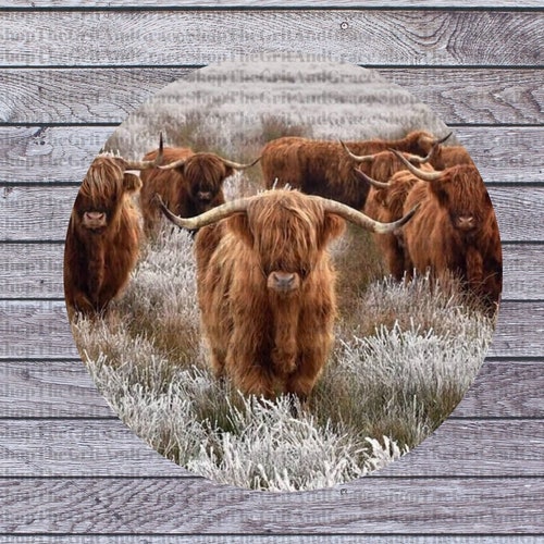 Long Haired Cow Western Digital Png Svg For Car Freshie Etsy