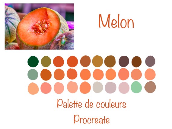 Palette Procreate Melon Orange Tones Brown - Etsy