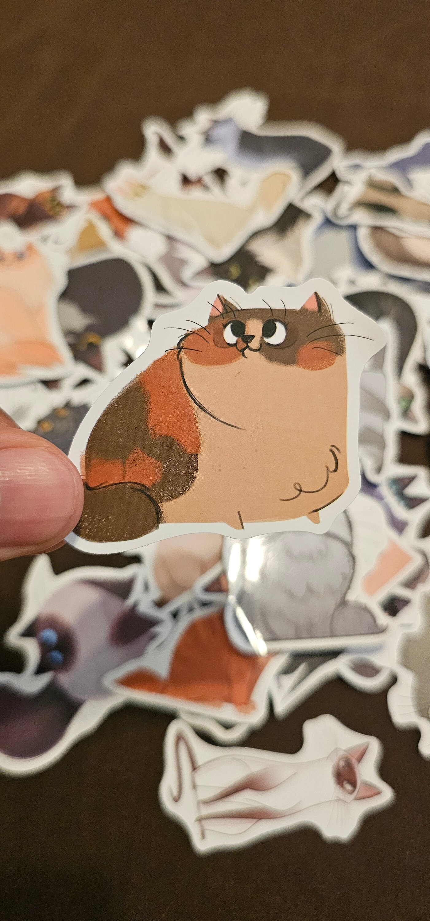 Super Cute Cats Sticker Set of 5 Random Stickers - Etsy