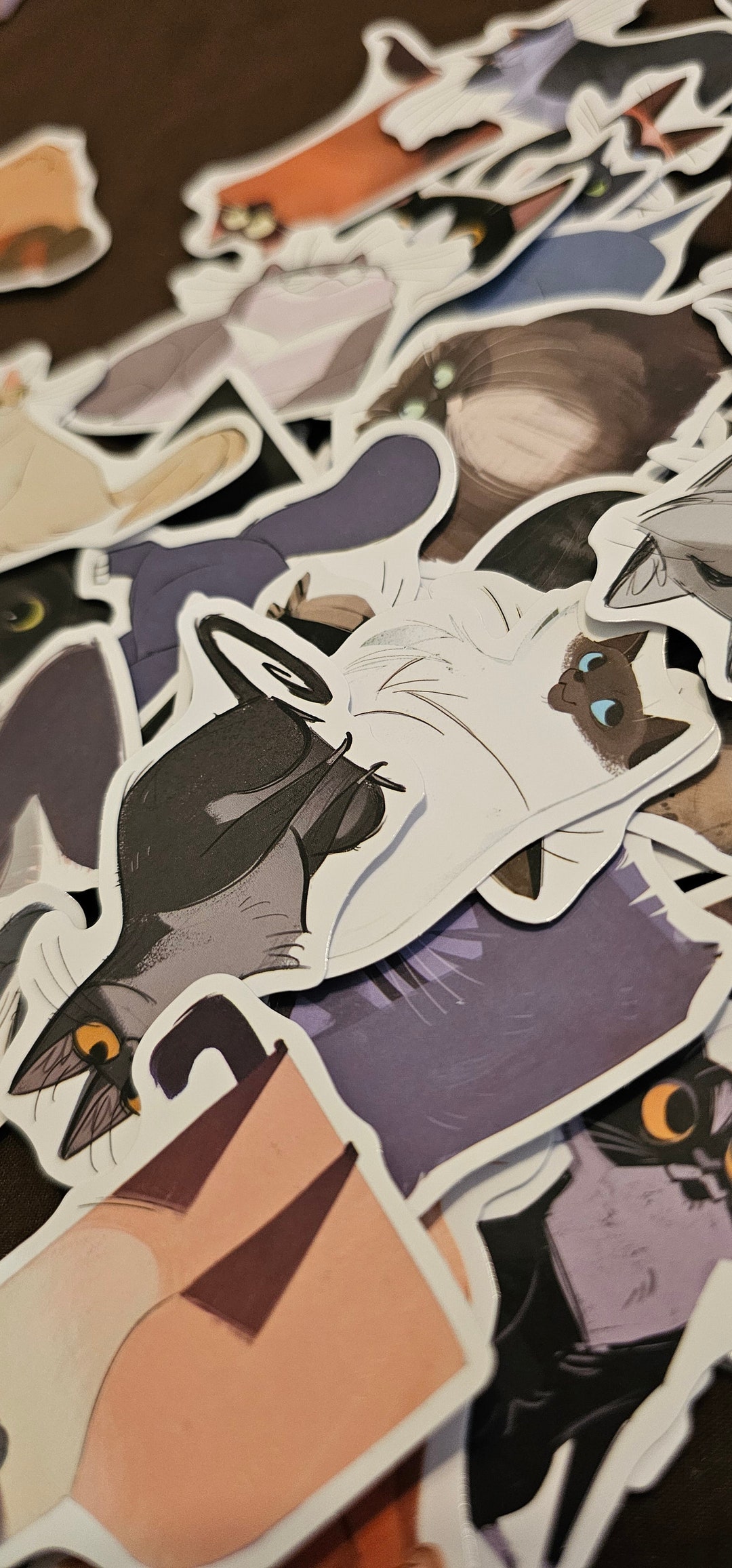 Super Cute Cats Sticker Set of 5 Random Stickers - Etsy