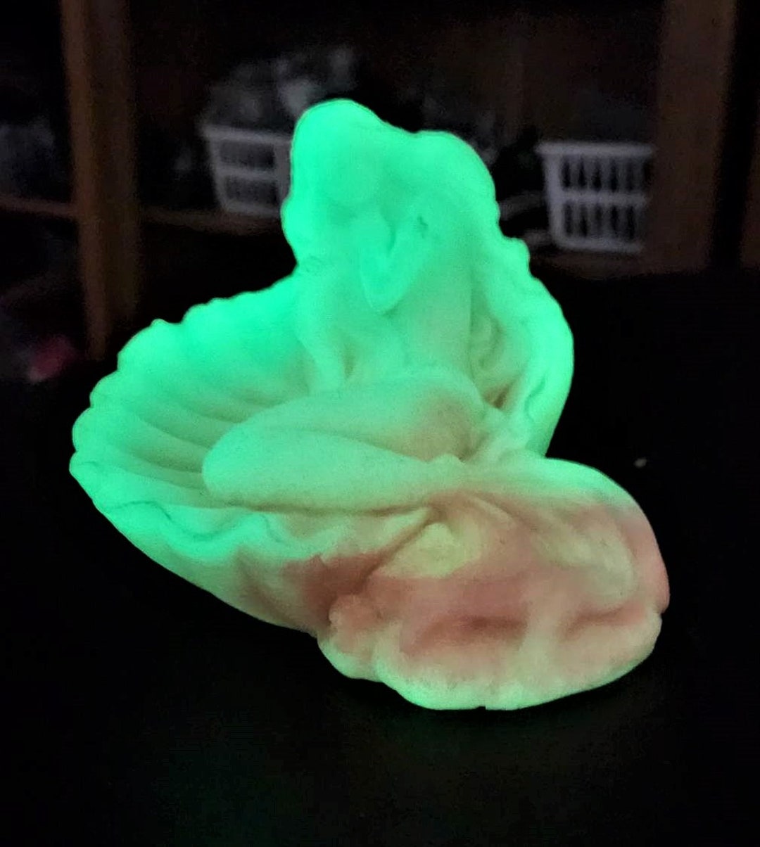 Glow in the Dark MERMAID Fantasy Home Decor FREE SHIPPING - Etsy