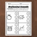 20 Printable Beginning Sounds Worksheets. Preschool-1st Grade Phonics ...