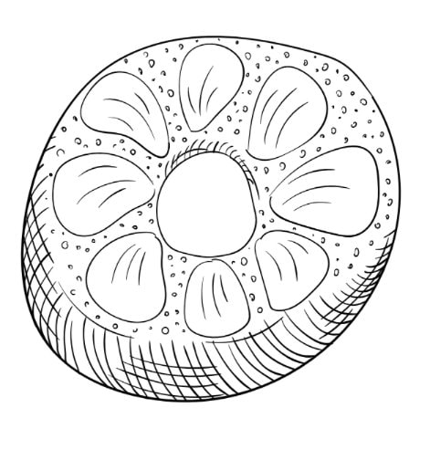 Cute Donut Coloring Pages; Activity for Kids; 20 Donuts to Color; Kids ...