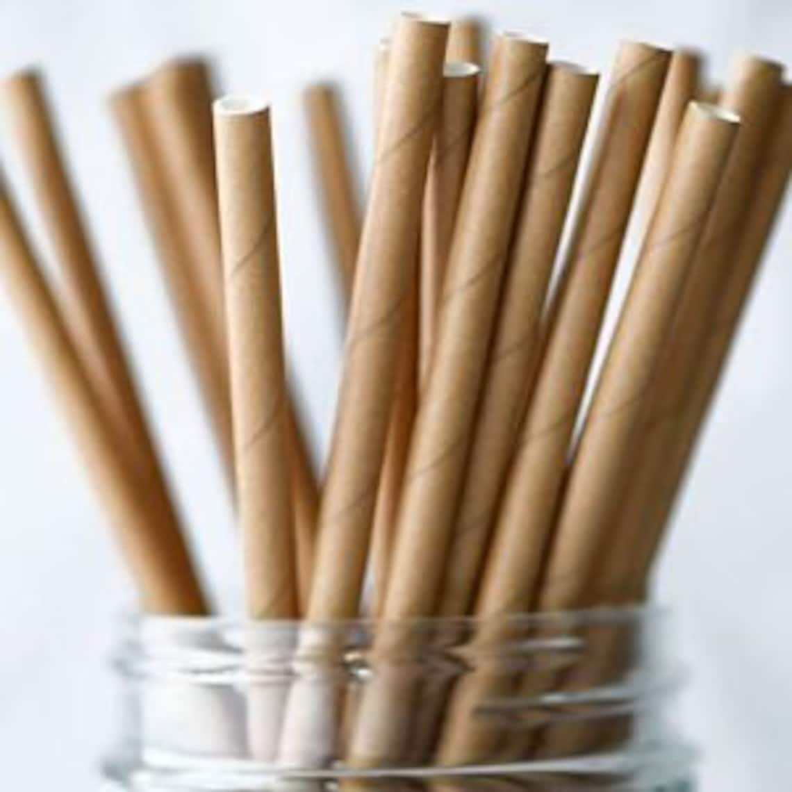Dye-free brown kraft paper drinking straws Paper Straws | Etsy