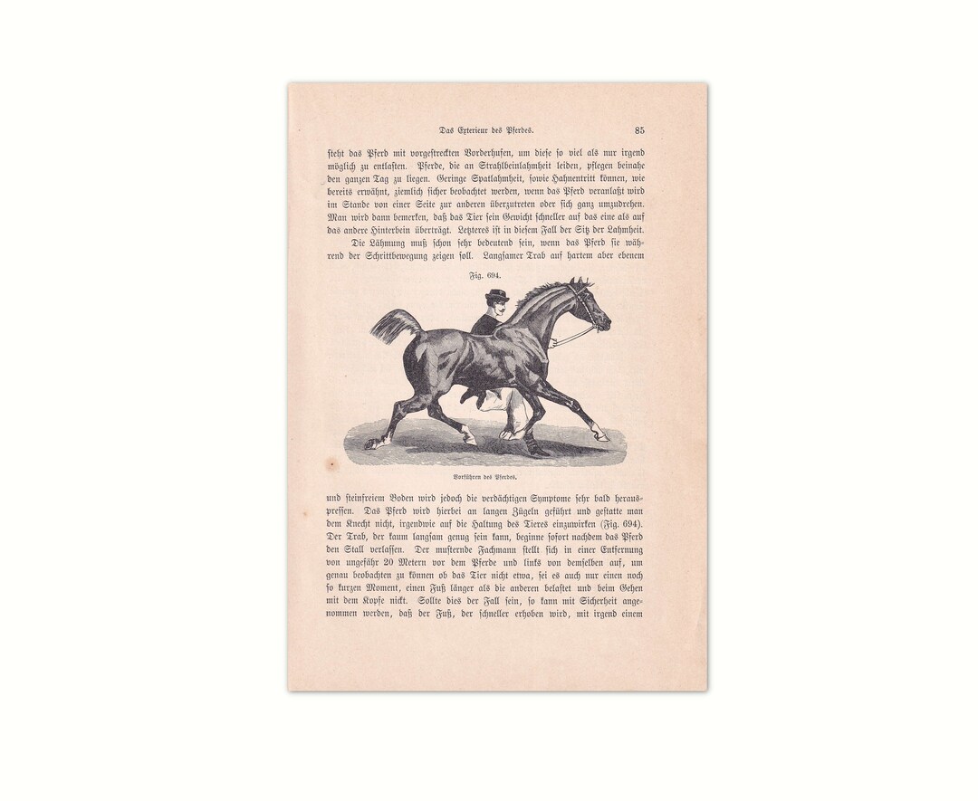Horse Showing 1902 | Original Lithograph From Old Reference Book From ...