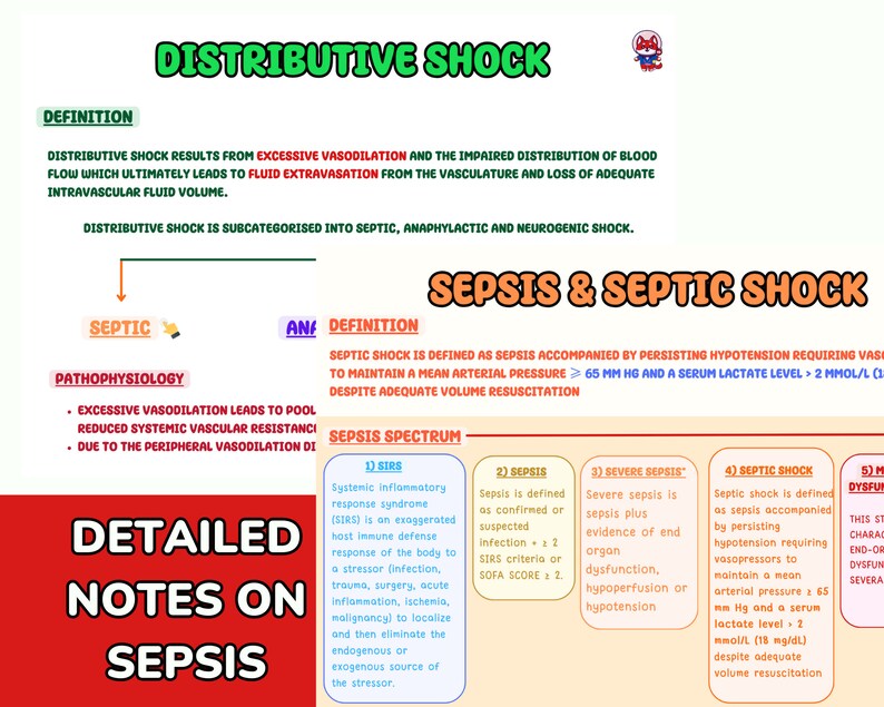 Shock Sepsis Guide: Interactive PDF, 50 Detailed Pages on Shock & Sepsis Become an Expert Faster ...