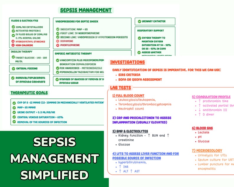 Shock Sepsis Guide: Interactive PDF, 50 Detailed Pages on Shock & Sepsis Become an Expert Faster ...