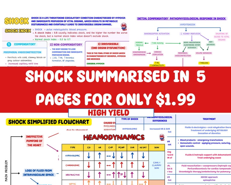 SHOCK SUMMARY. Shock Cheat Sheet. Shock Summary PDF. - Etsy