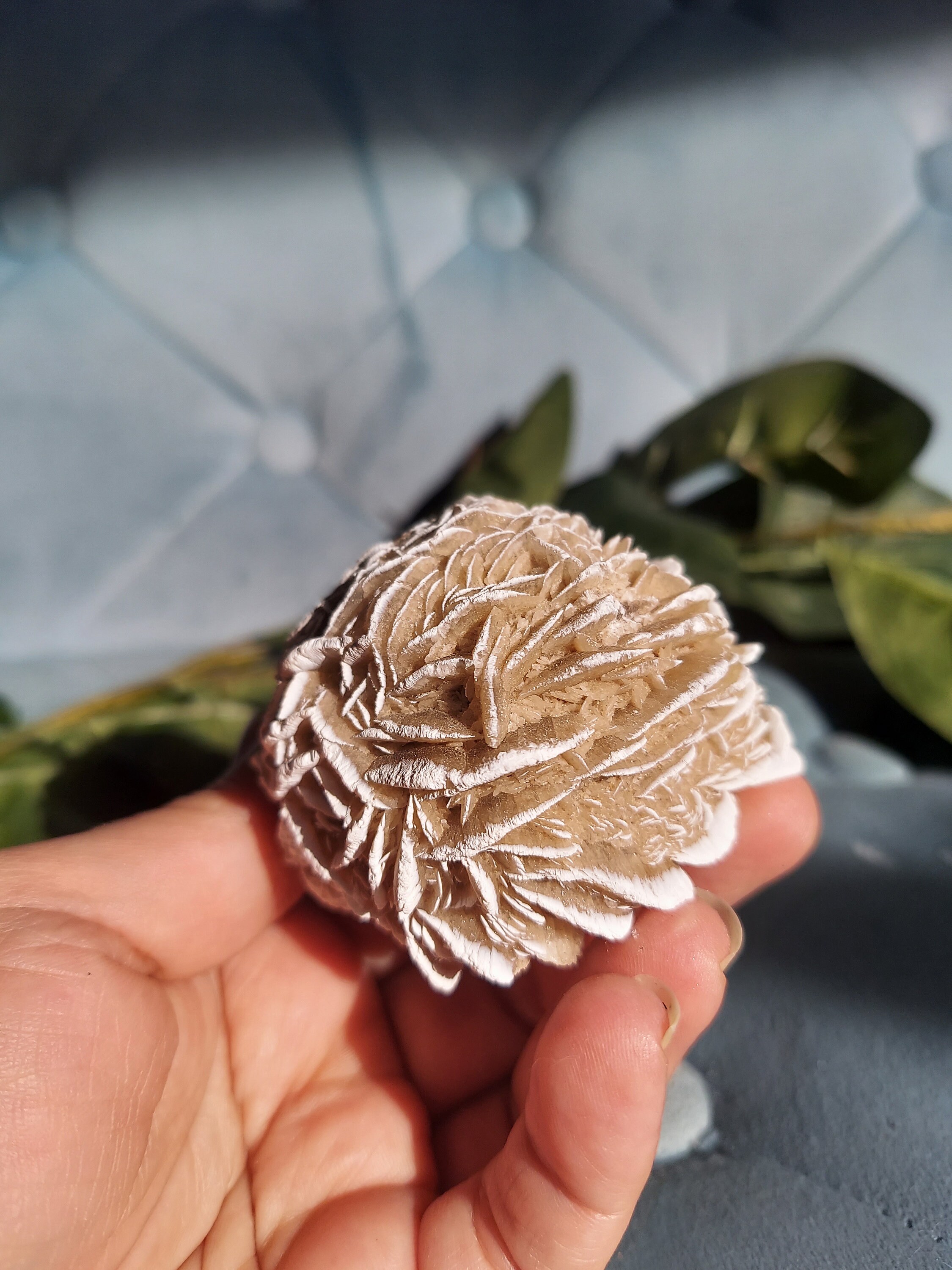 Desert Rose Selenite / Crystal Cleanse / Spiritual Enlightenment - Etsy