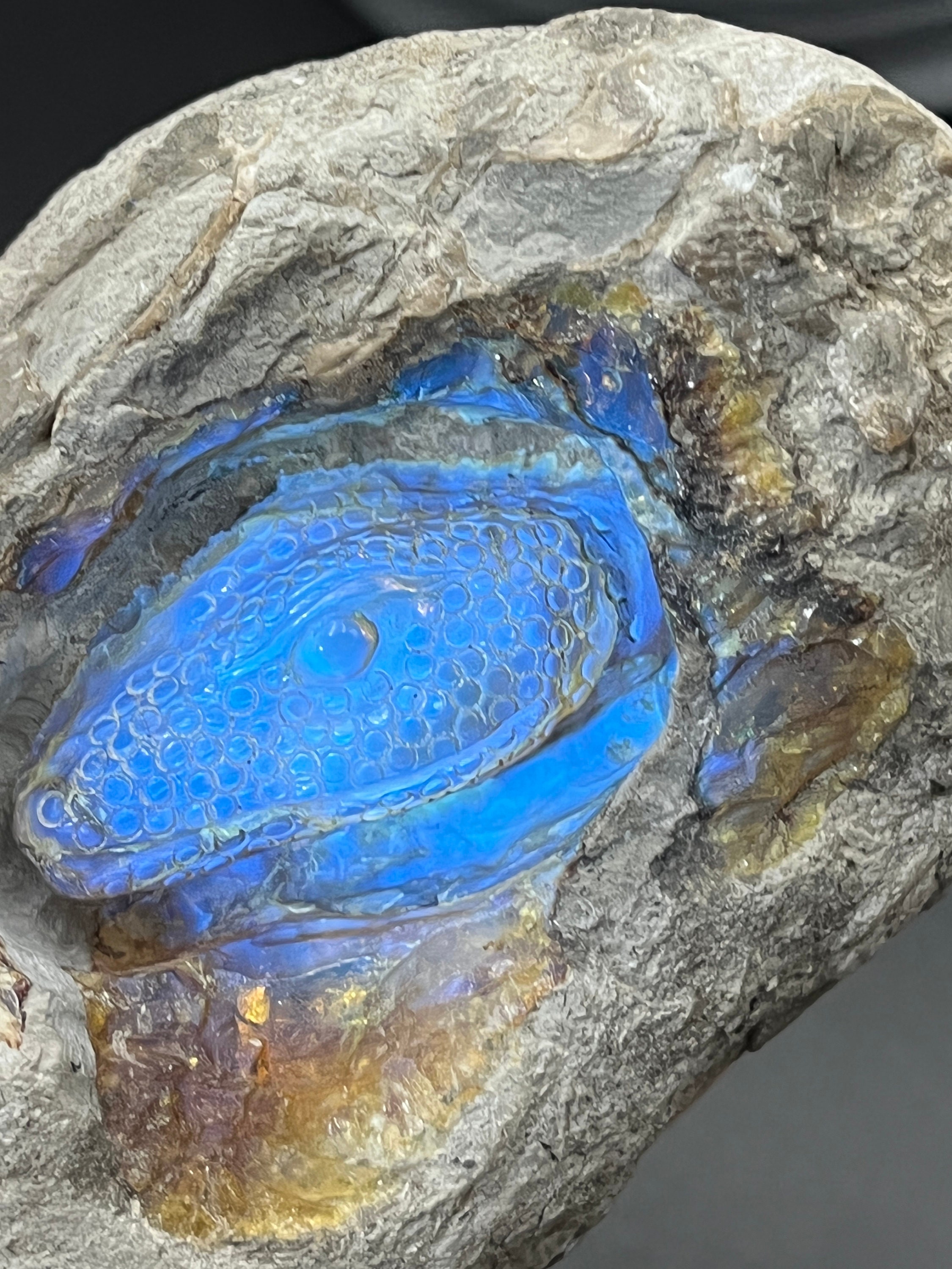 Unique Amber Snake Inside Rock, Simojovel, Chiapas, Mexico 540 G / UV ...