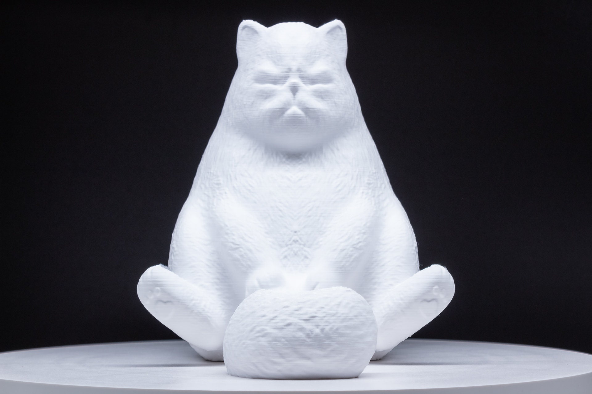 Grumpy Cat Headphone Stand Cat Headphone Holder Fat Cat - Etsy