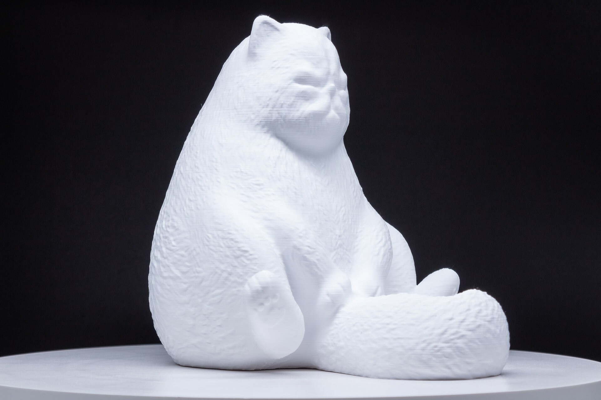 Grumpy Cat Headphone Stand Cat Headphone Holder Fat Cat - Etsy