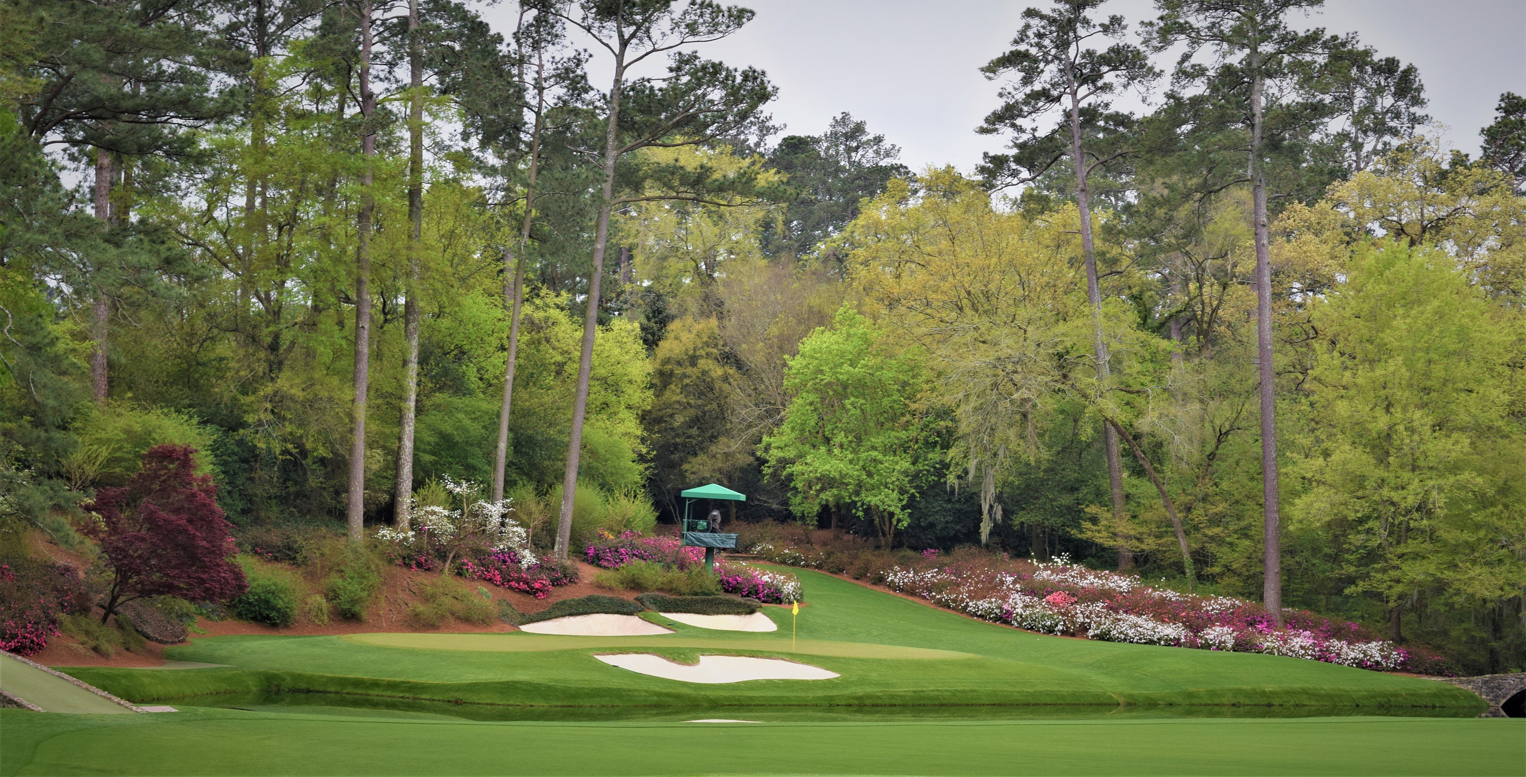 Augusta National #12 Amen Corner Digital Download - Etsy
