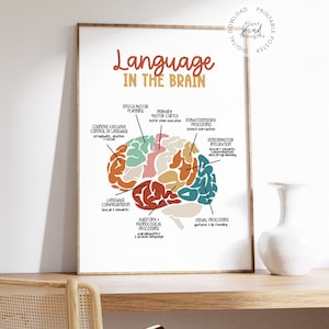 LANGUAGE in the BRAIN Poster Speech Room Decor Speech Language ...