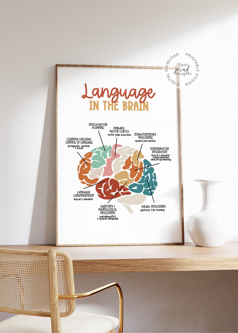 LANGUAGE in the BRAIN Poster Speech Room Decor Speech Language - Etsy