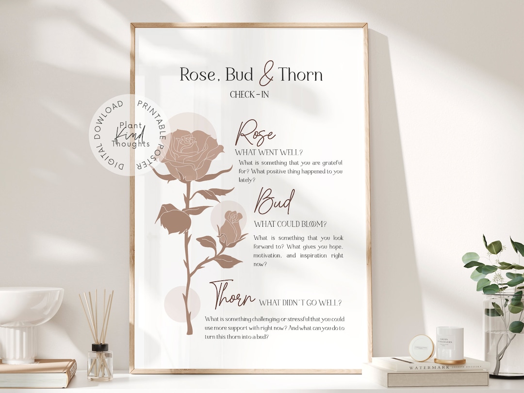 ROSE BUD and THORN Check-in Counseling Office School Counselor Office ...