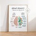 GROWTH MINDSET Mental Health Poster: Therapy Office Decor School ...