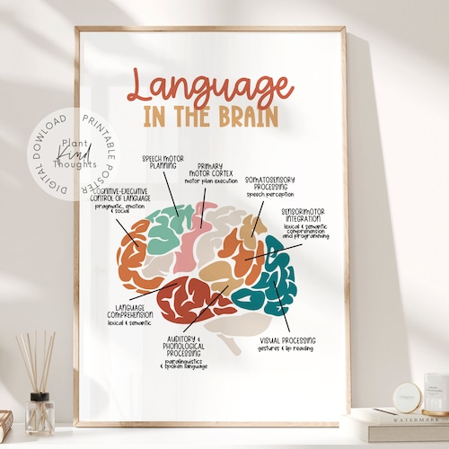 20 Speech Therapy Room Posters SLP Decor Language Pathologist - Etsy Canada