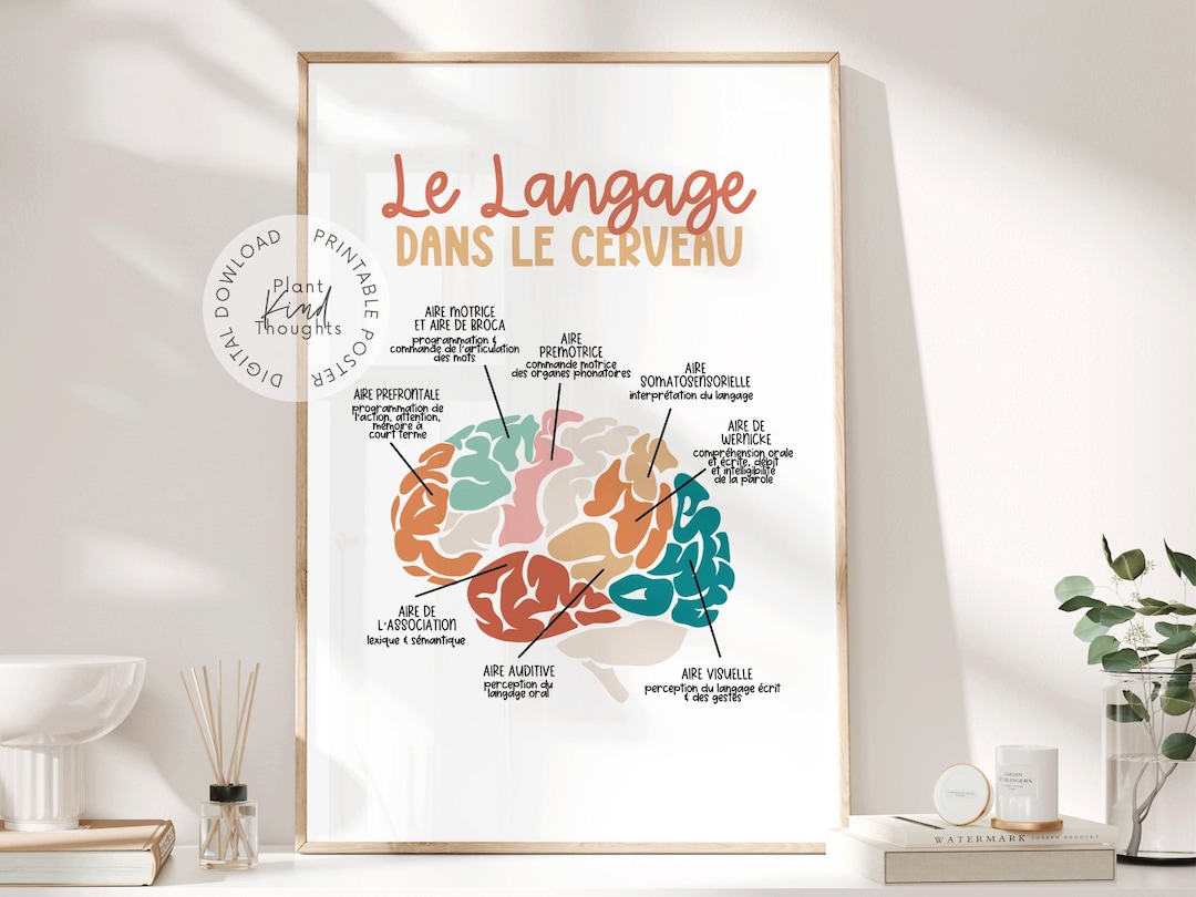 LANGUAGE in the BRAIN Poster Speech Room Decor Speech Language ...