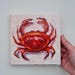Red Crab Oil Painting on Canvas 6x6 Marine Life Sea Original Art - Etsy