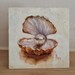 Seashell Pearl Painting Sea Shell With Pearl Artwork Original Oil ...