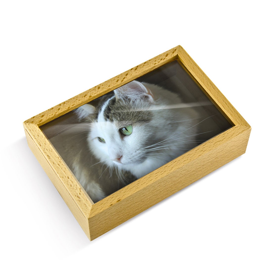 Light Wood Tone 18 Note Musical Photo Frame Keepsake - Many Songs to ...