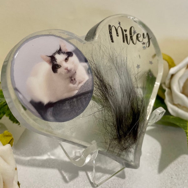 Pet Hair Memorial - Etsy