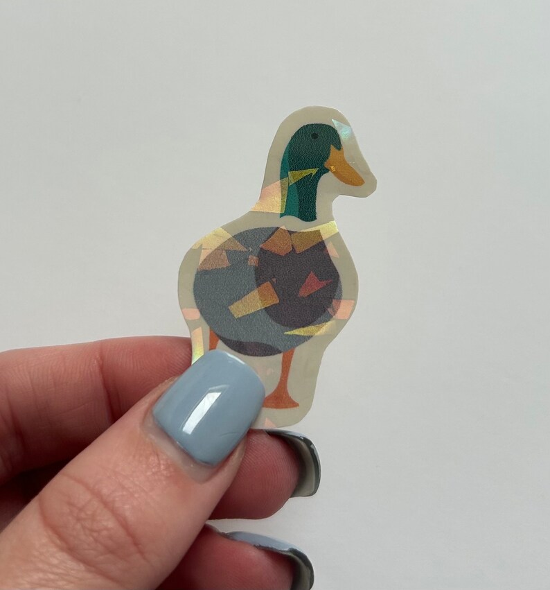2 X Duck Stickers - Etsy UK