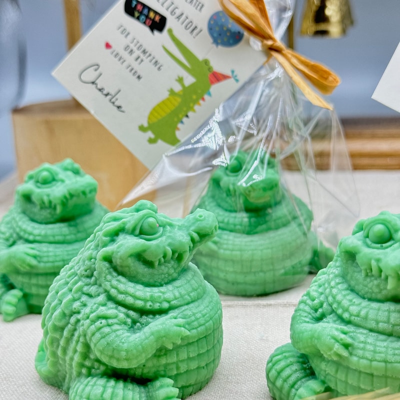 Alligator Shower - Etsy