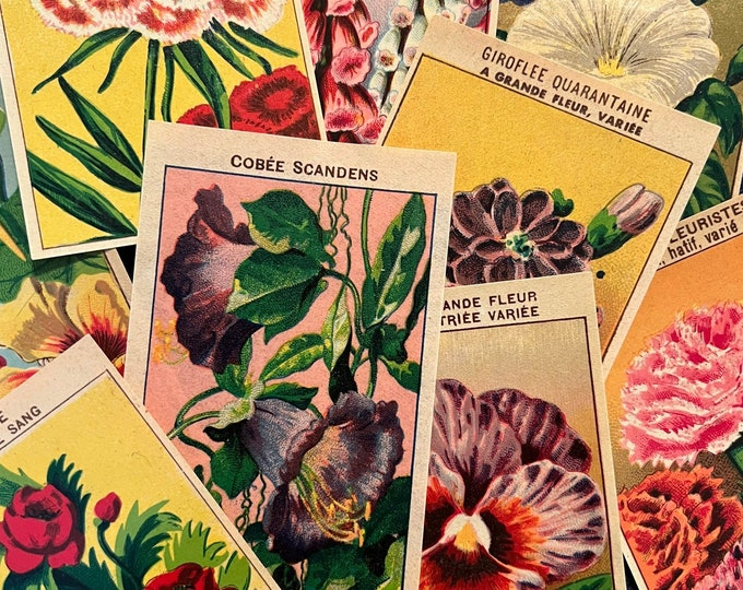 Vintage French Flower Labels French Seed Packet Labels Set of 10 ...