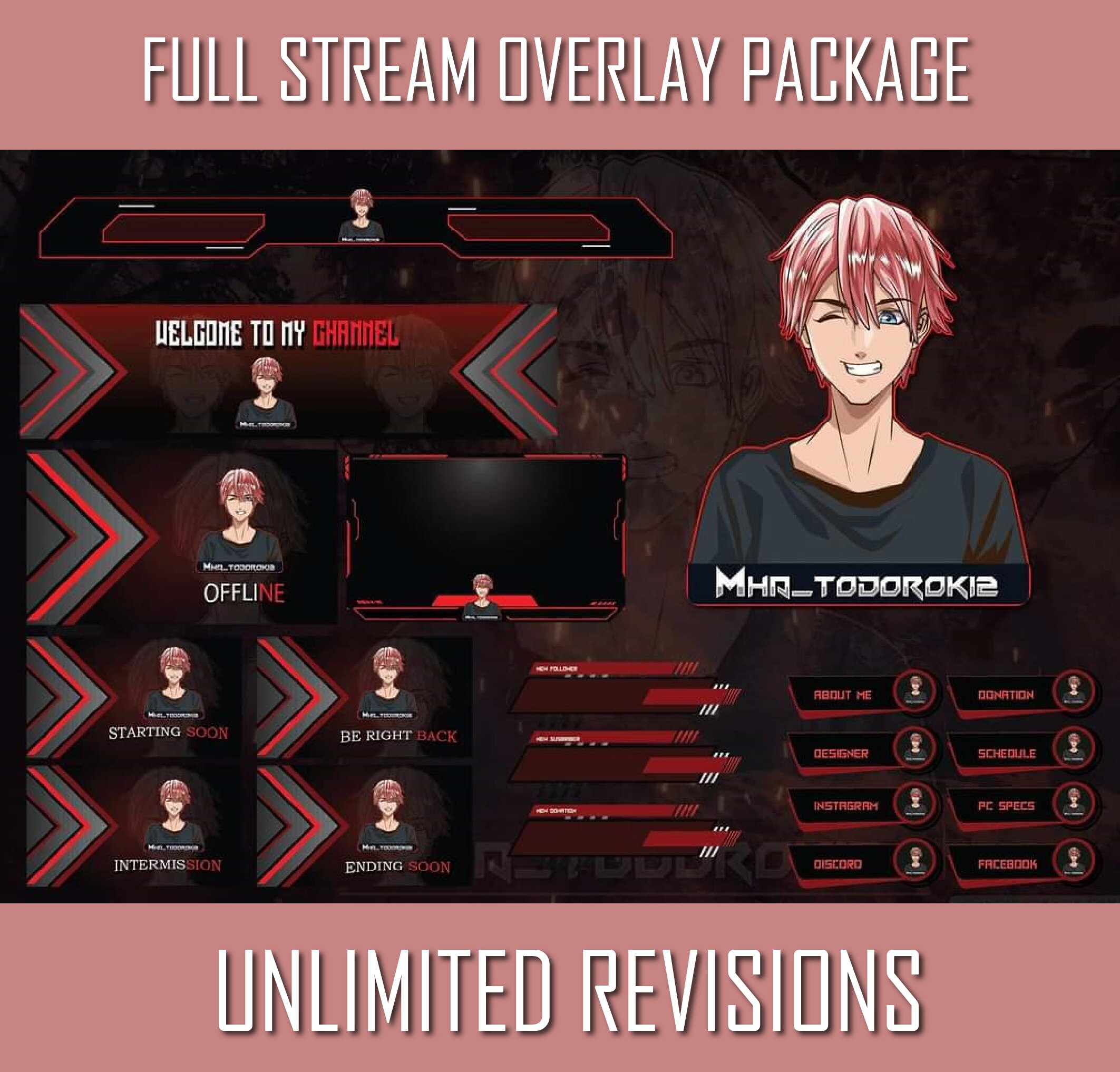 Custom Cartoon Logo, Character Logo, Caricature Logo, Custom Portrait ...