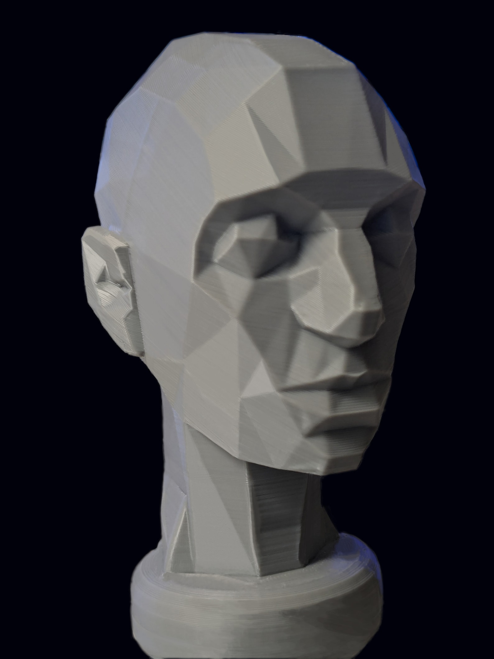 3D Printed POSEABLE Asaro Head Low Poly Human Head Cast Model for ...