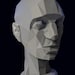 3D Printed POSEABLE Asaro Head Low Poly Human Head Cast Model for ...