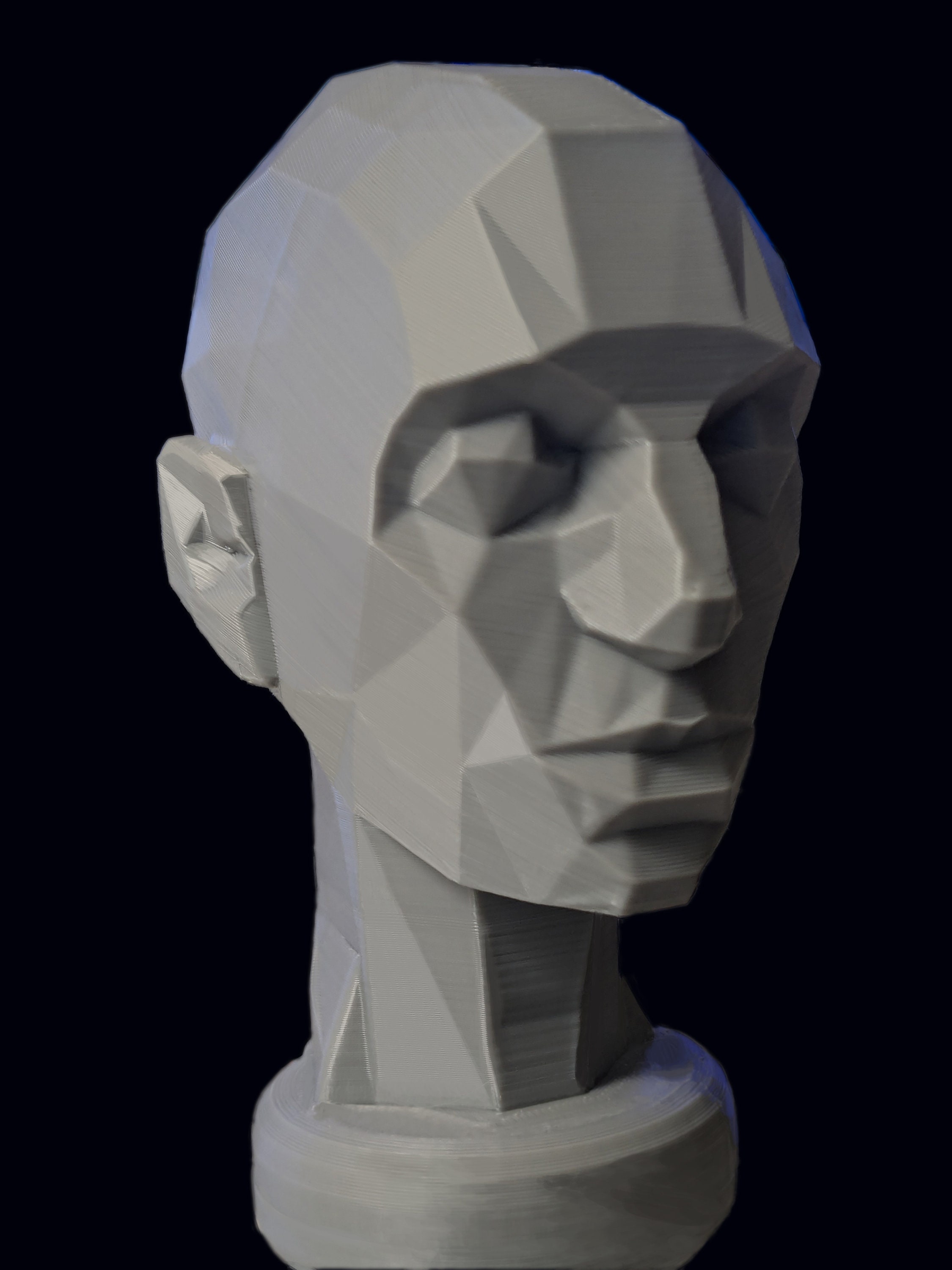 3D Printed POSEABLE Asaro Head Low Poly Human Head Cast Model for ...