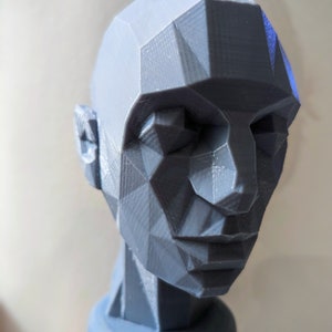 3D Printed POSEABLE Asaro Head Low Poly Human Head Cast Model for ...