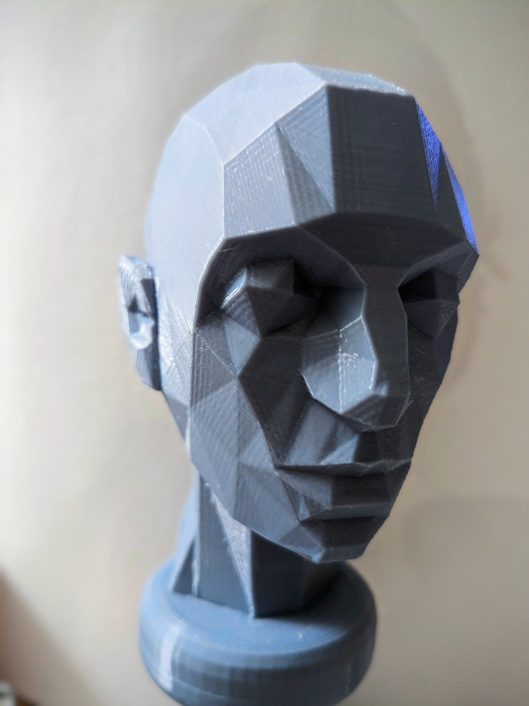 3D Printed POSEABLE Asaro Head Low Poly Human Head Cast Model for ...