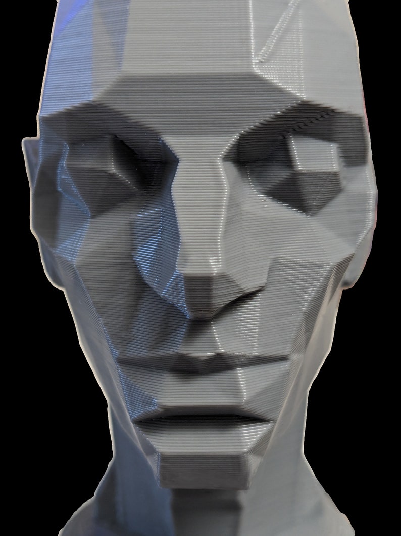 3D Printed Poseable Asaro Head Low Poly Human Head Cast Model for Artist Study - Etsy