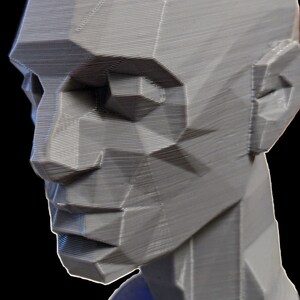 3D Printed Poseable Asaro Head Low Poly Human Head Cast Model for ...